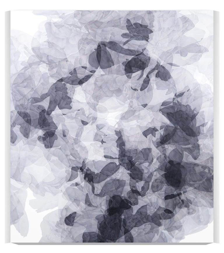Greg Murr - Field 4F [a collapsing of space, a temporal geography] For ...