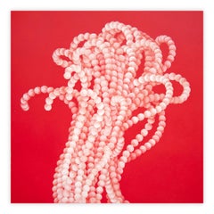 Nicole Kohn - Lucretius For Sale at 1stDibs