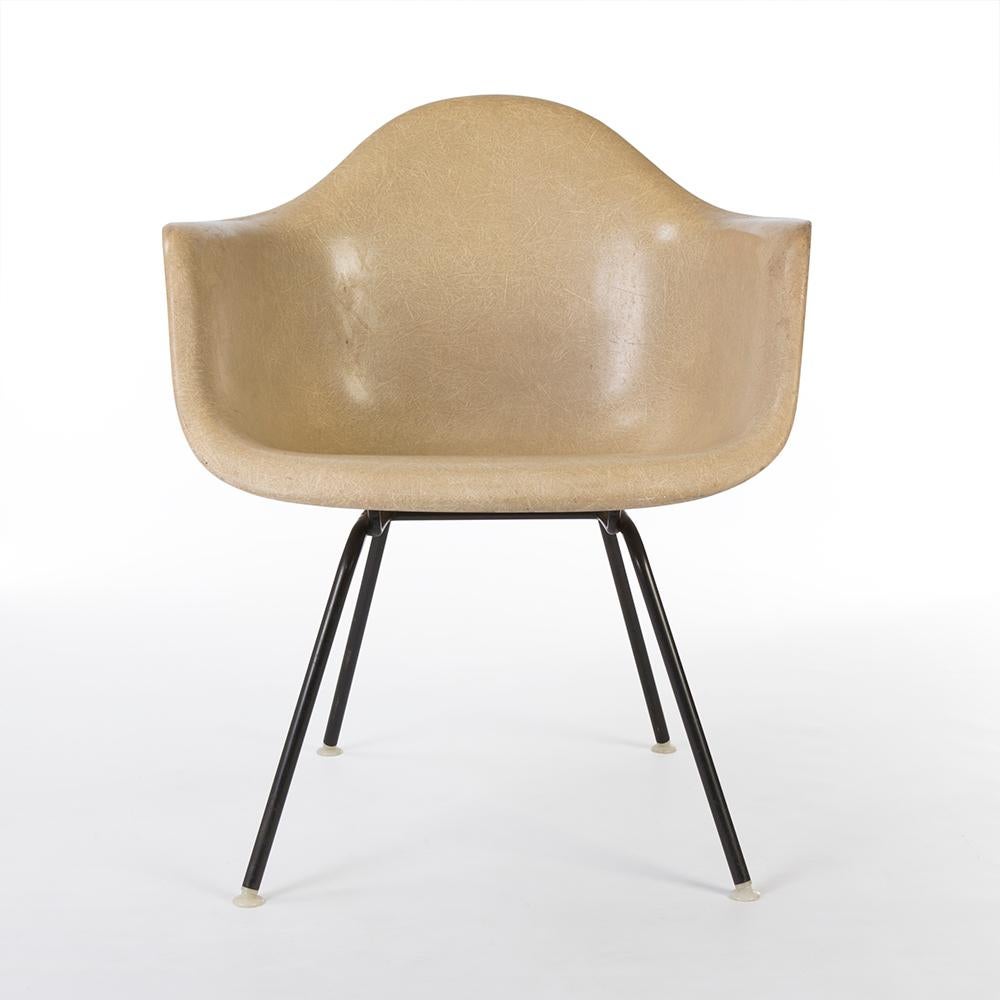 Greige Herman Miller Eames LAX Lounge Arm Shell Chair For Sale at 1stDibs
