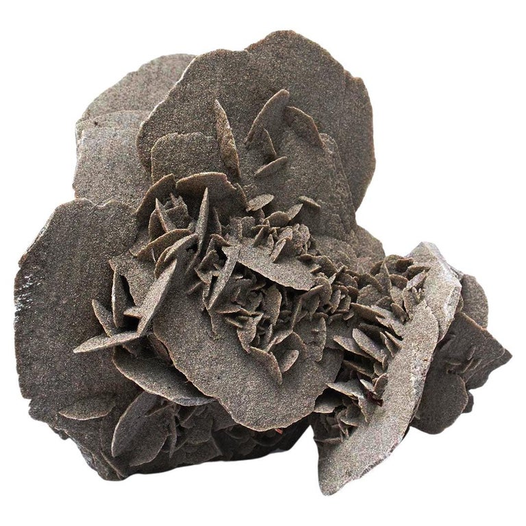 Grey Elephant Ear Selenite For Sale at 1stDibs