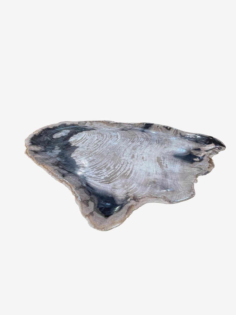 Grey with Black Petrified Wood Plate, Indonesia, Contemporary For Sale ...