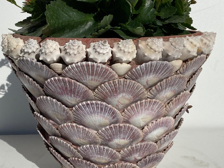 Grotto Sea Shell Planter at 1stDibs