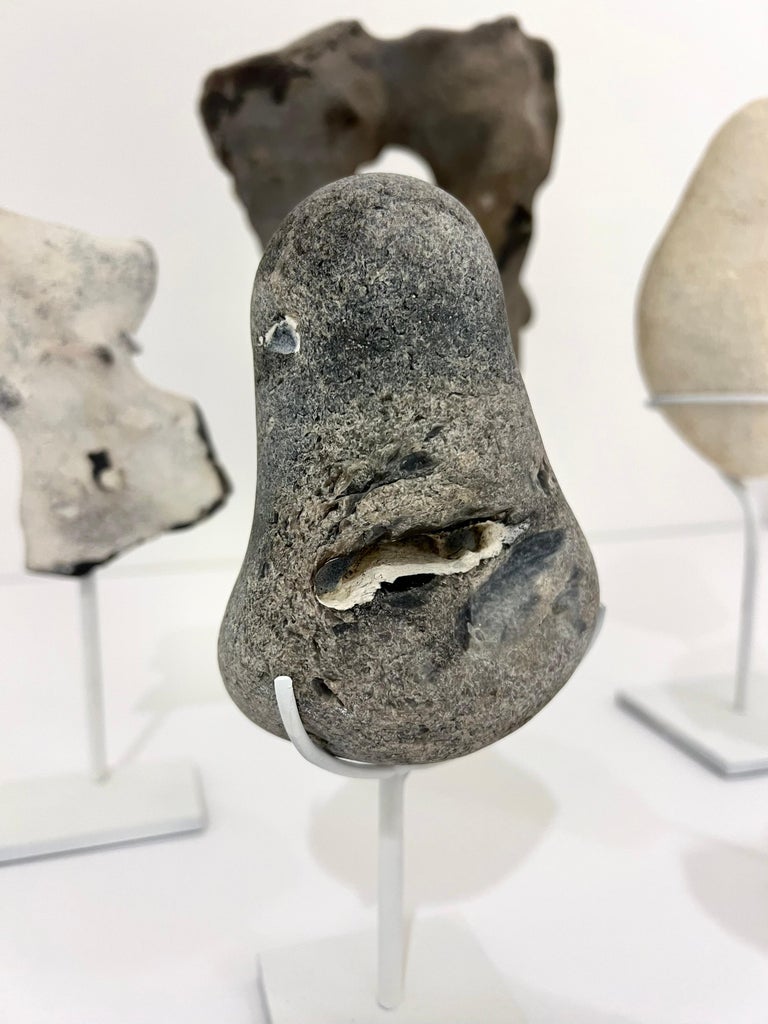 Group of Mounted Natural Sea Stone Specimens from Denmark For Sale at ...