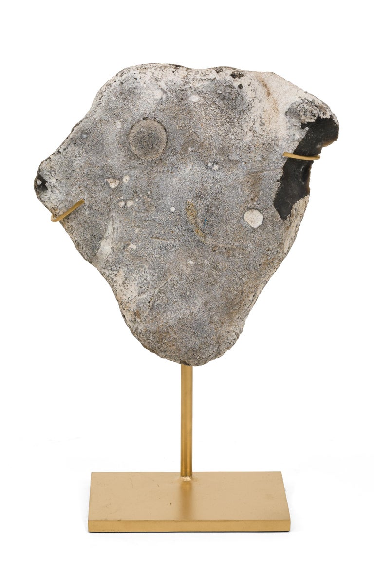 Group of Mounted Natural Sea Stone Specimens from Denmark For Sale at ...