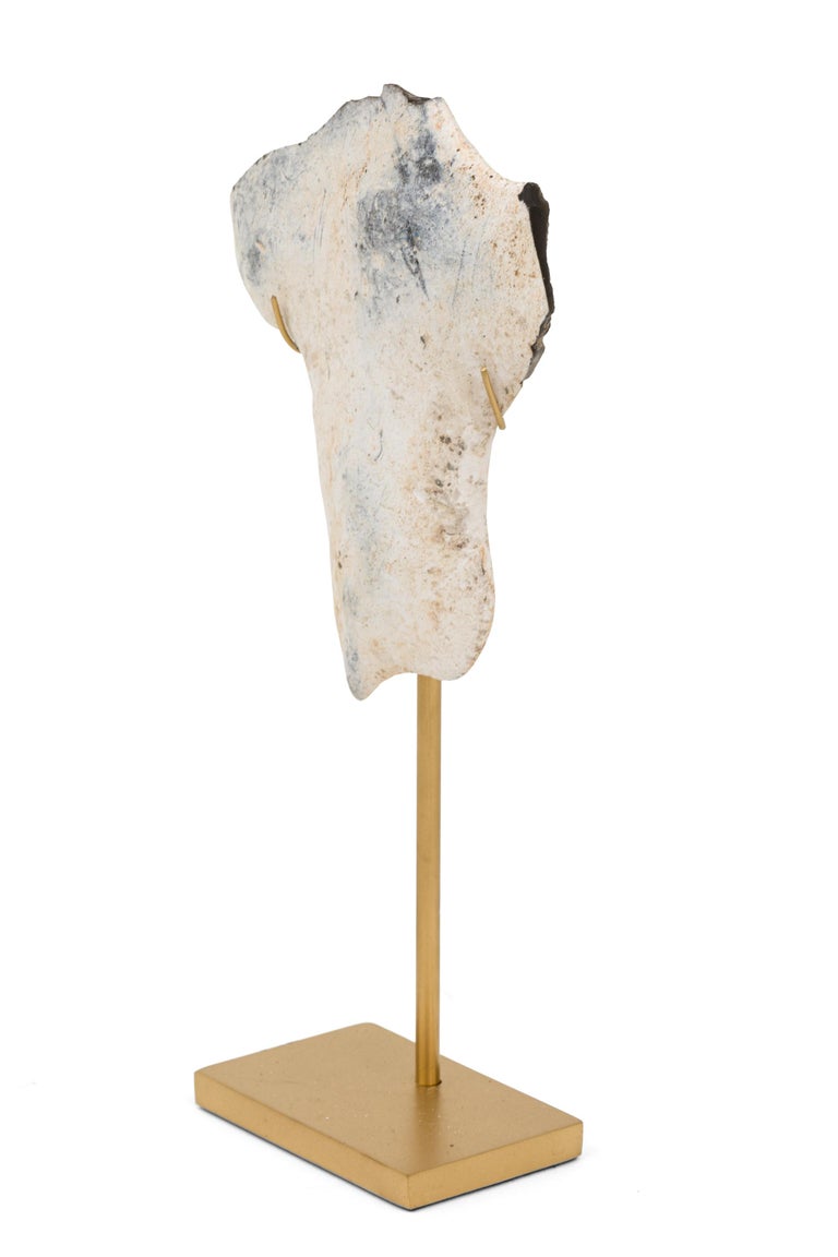 Group of Mounted Natural Sea Stone Specimens from Denmark For Sale at ...