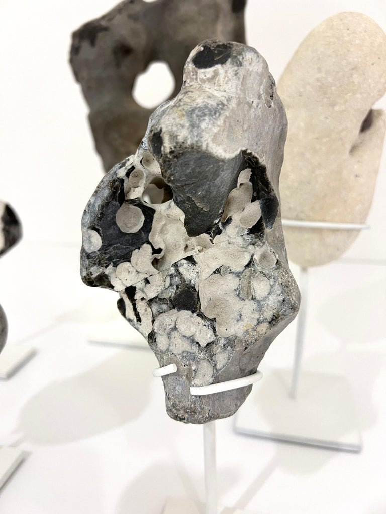 Group of Mounted Natural Sea Stone Specimens from Denmark For Sale at ...