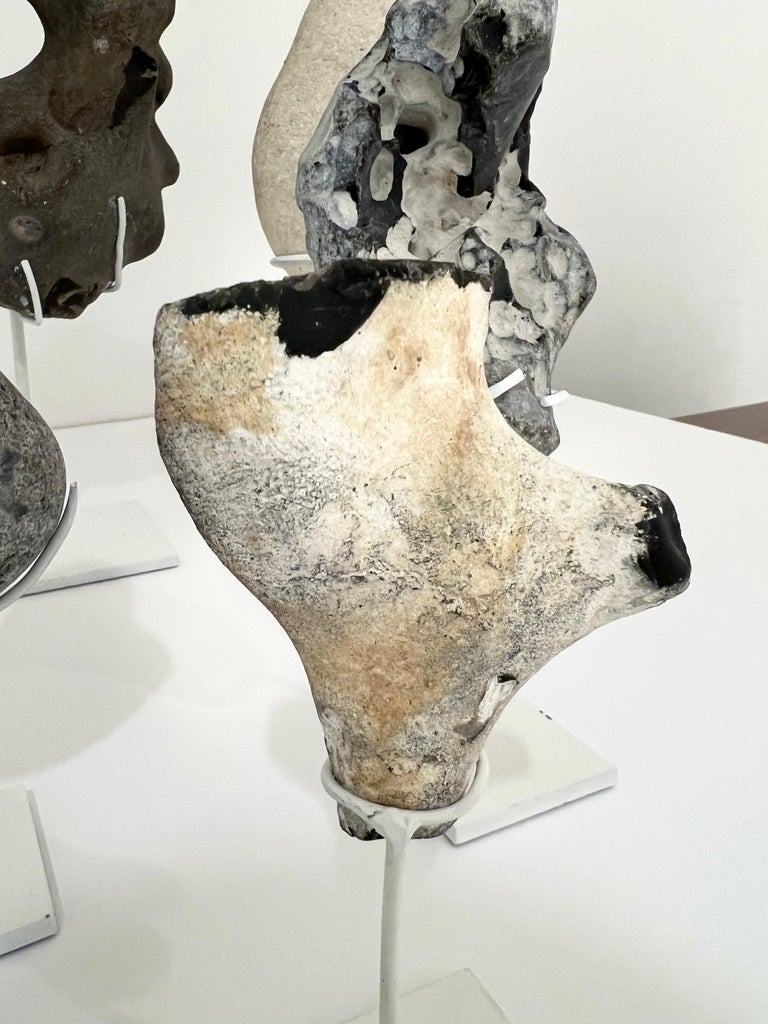 Group of Mounted Natural Sea Stone Specimens from Denmark For Sale at ...