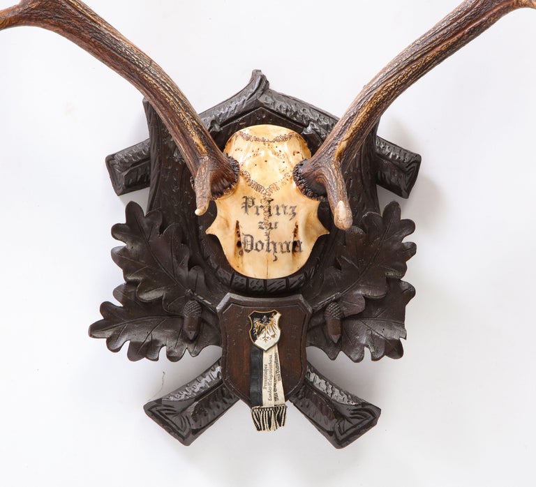 Group of Six Swiss 'Black Forest' Moose Antler Trophy Mounts, Early ...