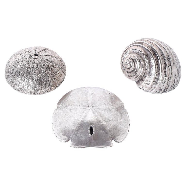 Group of Three Silver Plated Seashells, Priced Individually For Sale at ...