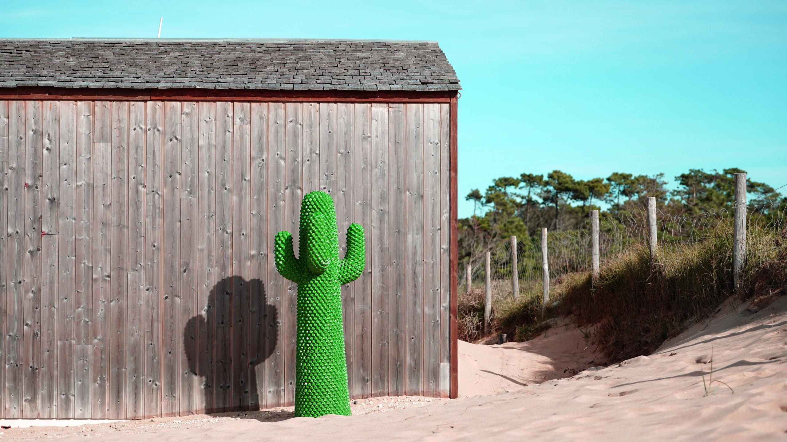 Gufram Cactus, 1972 by Guido Drocco and Franco Mello 640/2000 Original ...