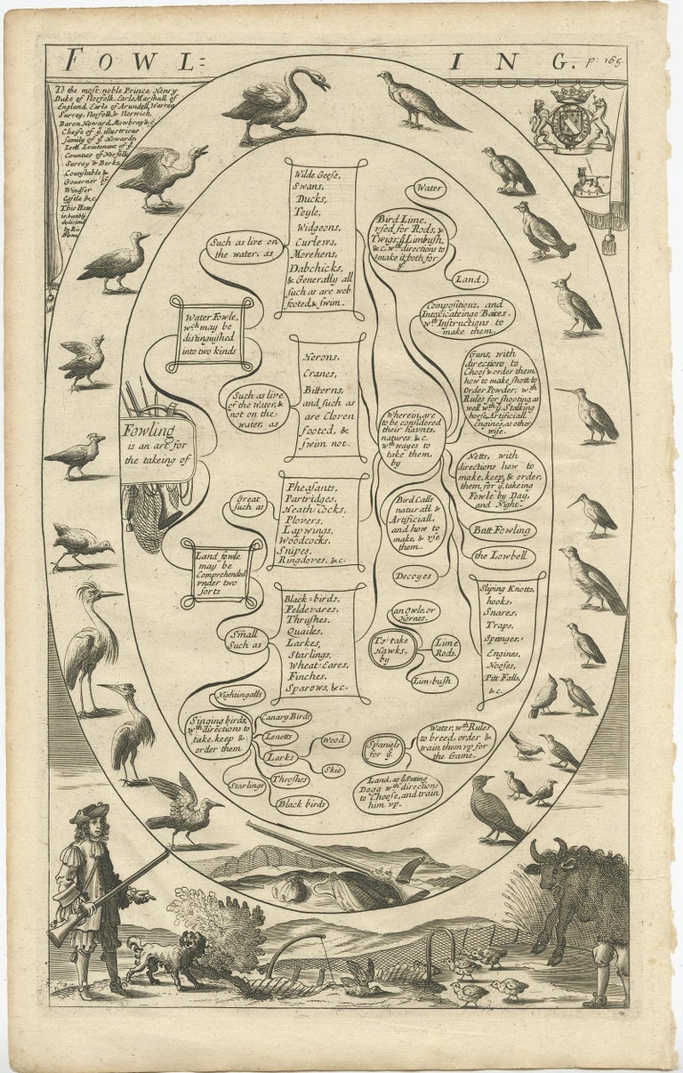 Guide to Fowling, The Art of Catching Birds for Meat and Feathers for ...