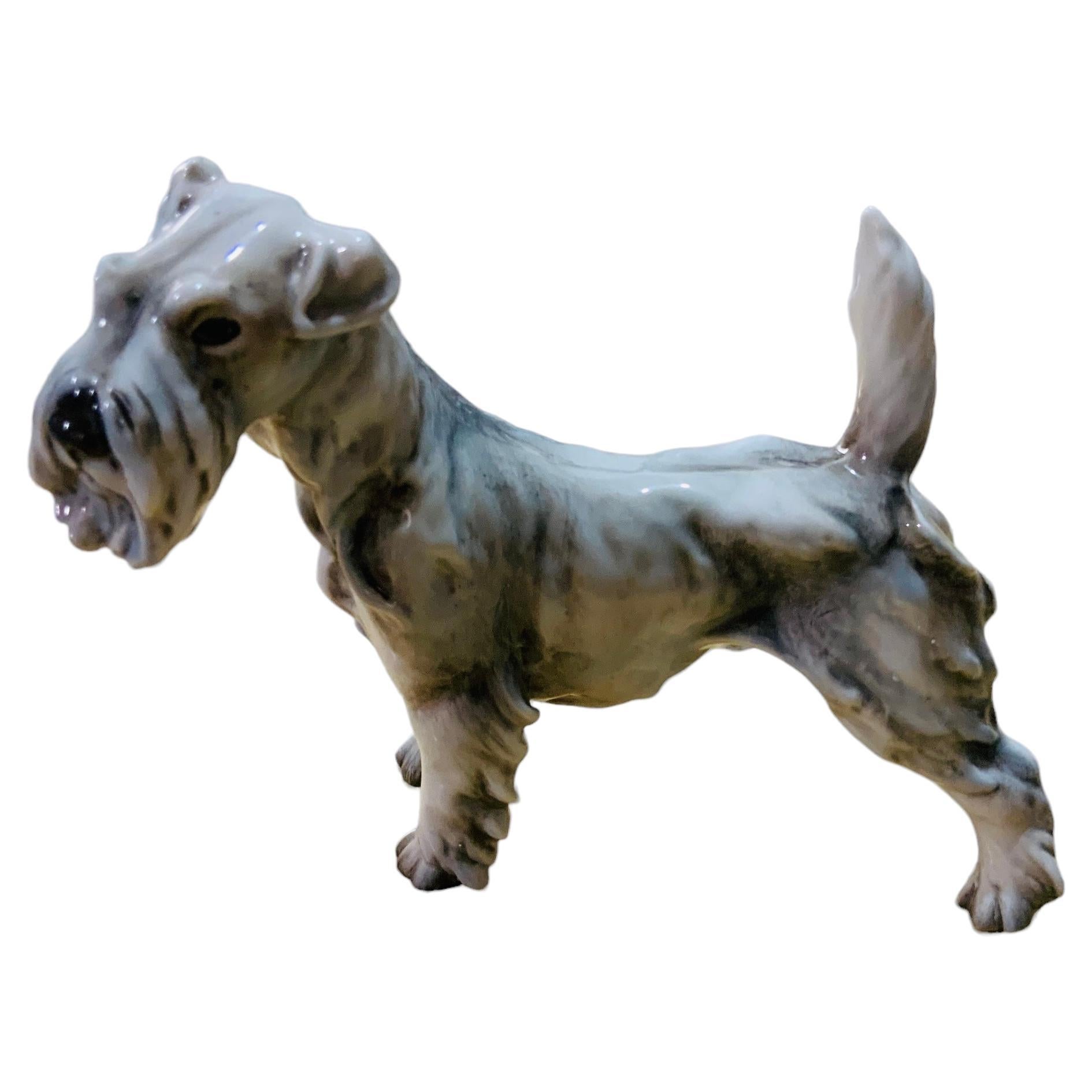 Guido Cacciapuoti Porcelain Figurine Of A Wire Fox Terrier Dog For Sale ...