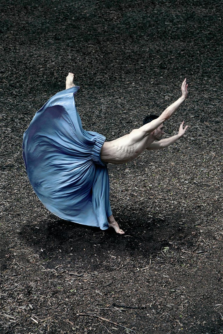 Guilherme Licurgo - Blooming Flower II/ Desert Flower NYC, 2014 ...