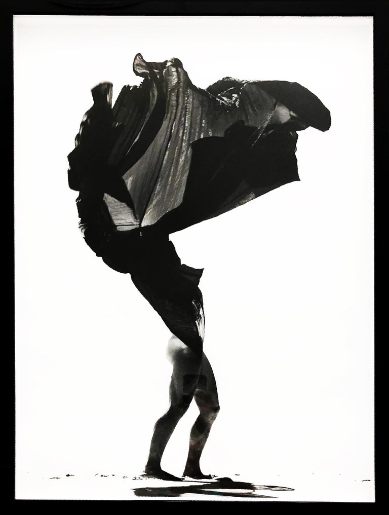 Guilherme Licurgo - Desert Flower, Canary Islands. Framed. For Sale at ...