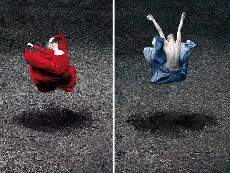 Guilherme Licurgo - Desert Rose III and Blooming Flower I. Diptych ...
