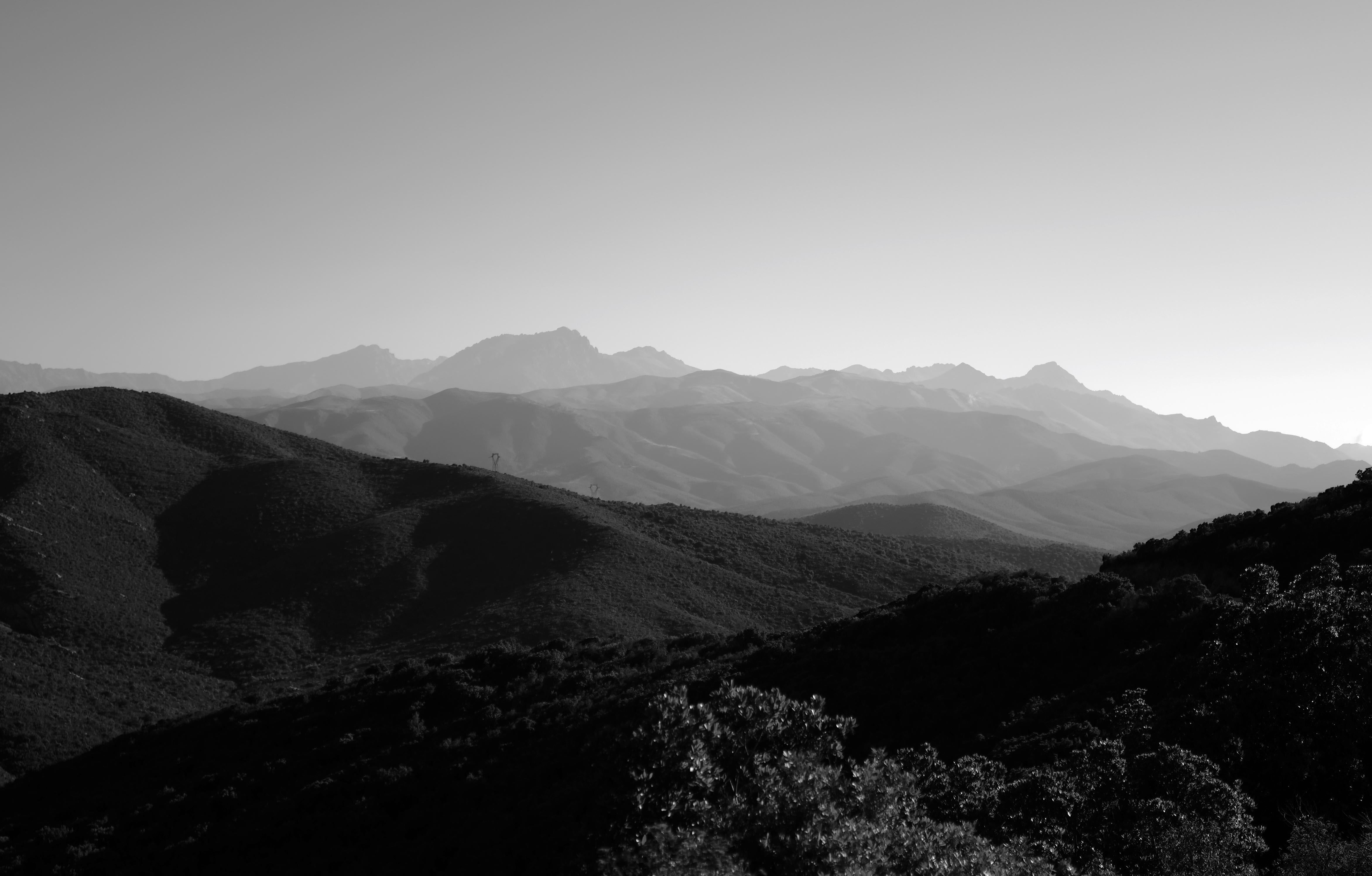 Monochromatic Photography - 499 For Sale on 1stDibs