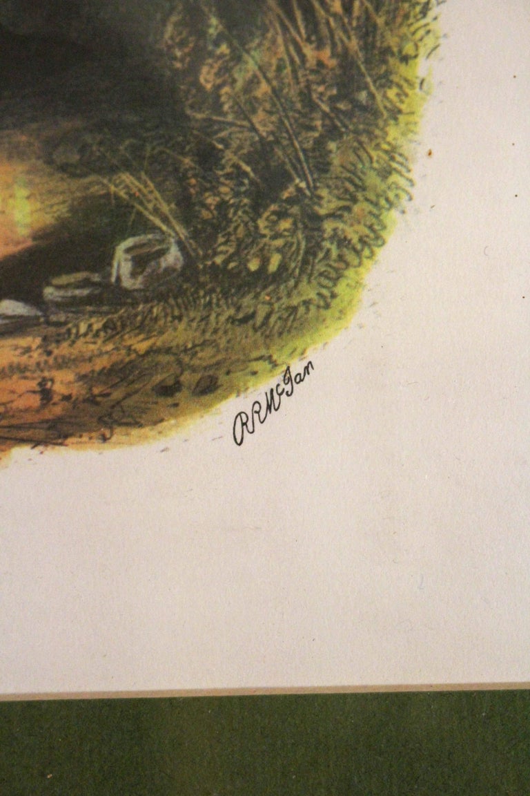 Circa 1950 Gunn Clan and Tartan Color Lithograph From "Clans of ...