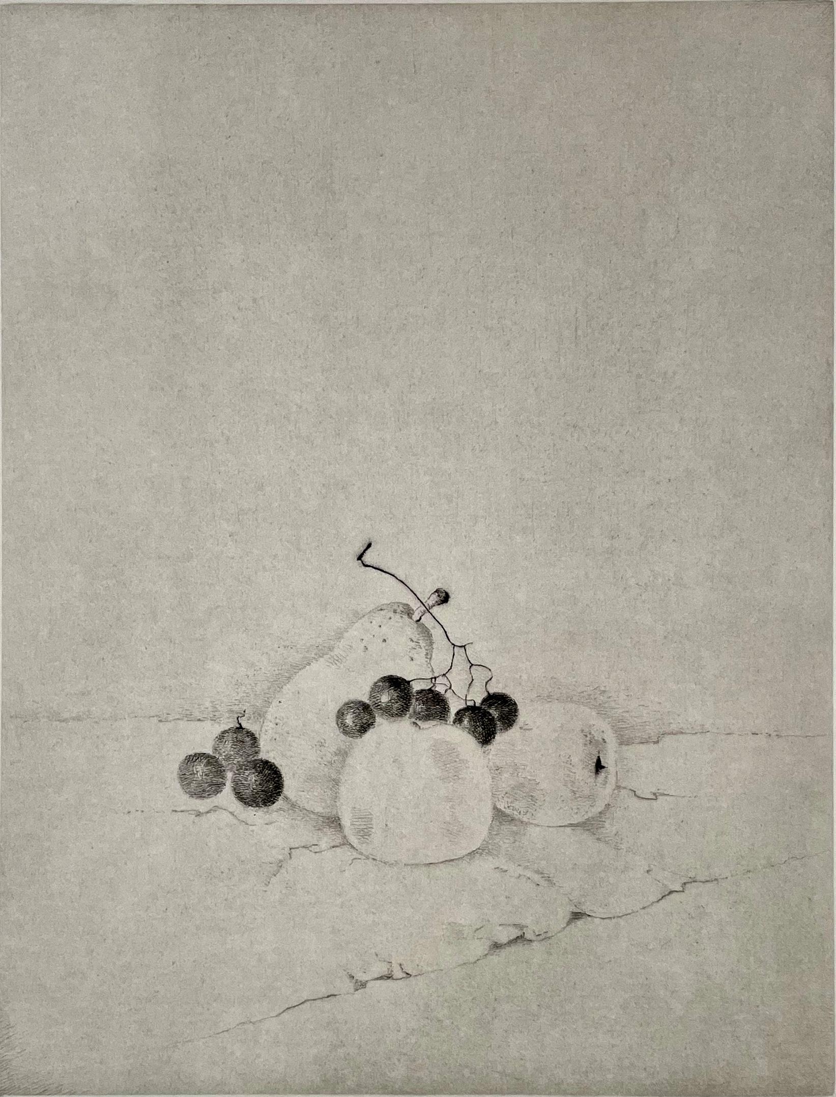 Peter Wever - Roses For Sale at 1stDibs