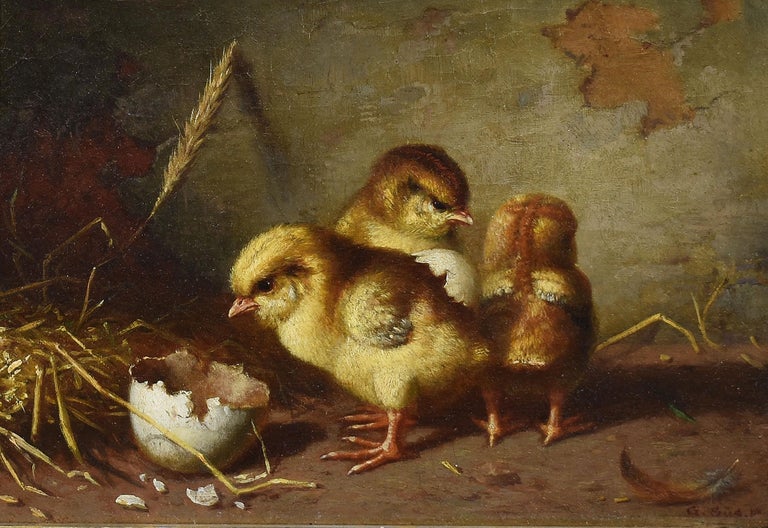 Gustav Konrad Sus - Antique Baby Chick "Just Hatched", Original Farm ...