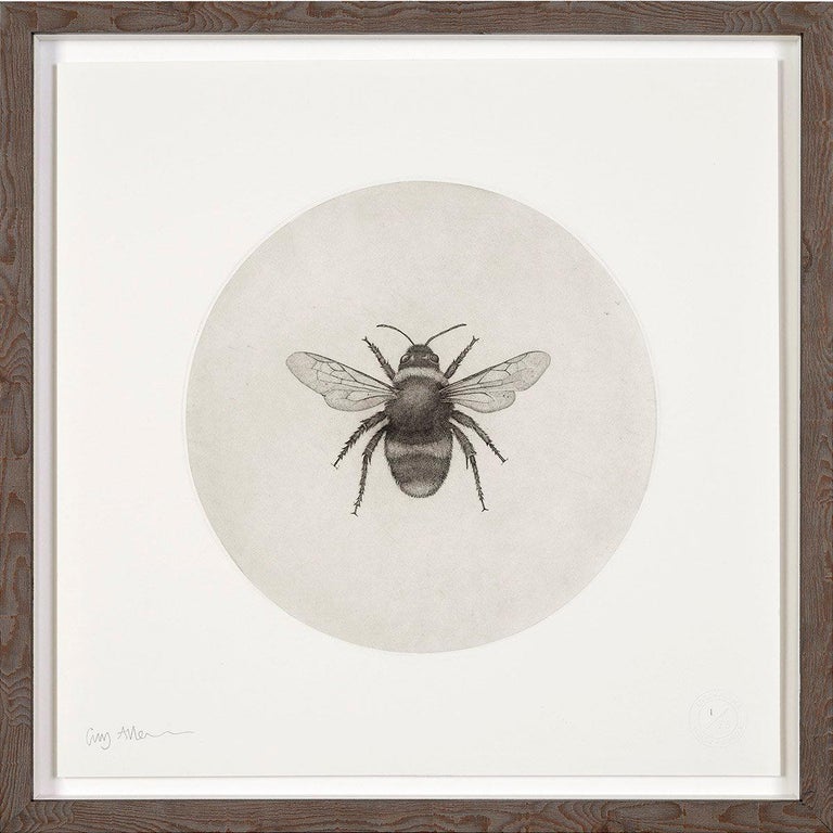 Guy Allen - Bumblebee by Guy Allen. Unframed limited edition print from acid etching For Sale at ...