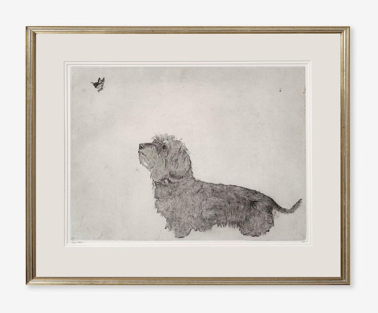 Guy Allen - Guy Allen, Dachshund and Butterfly, Affordable Animal Art ...
