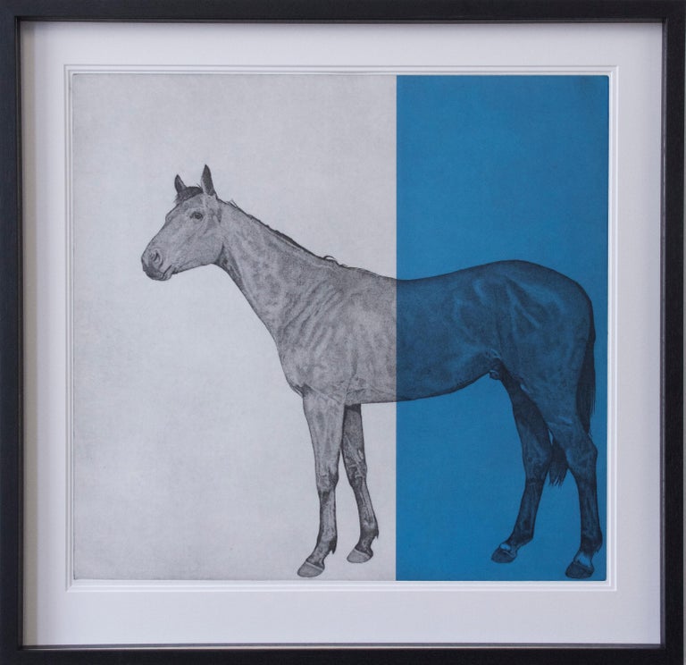Guy Allen - Guy Allen, Horse Study Blue, Bright Art, Etching Print ...