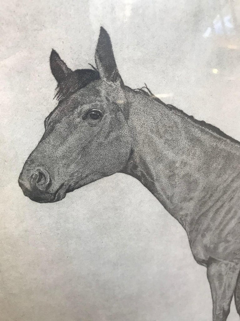 Guy Allen - Hosre Study Red, Guy Allen, Bright Art, Red Art, Animal Art ...