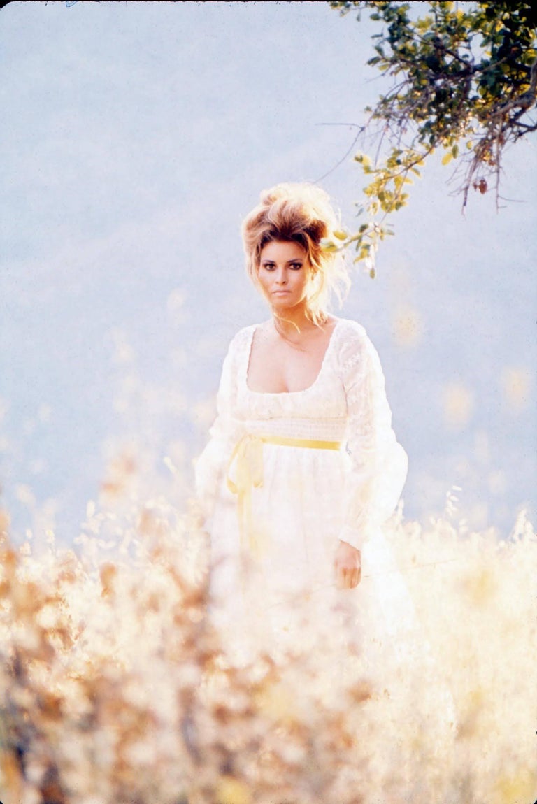 Guy Webster - Raquel Welch Stunning Portrait in Field Fine Art Print ...