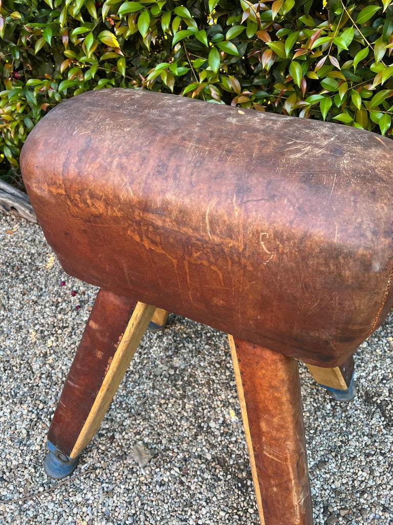 Gymnasium Leather Pommel Horse Bench Saddle Holder on Legs For Sale at ...