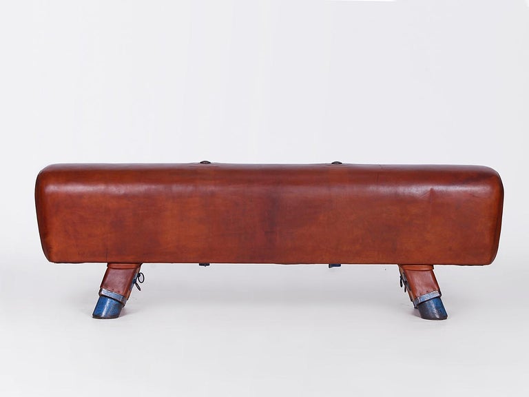 Gymnastic Leather Pommel Horse Bench Top, 1930s For Sale at 1stDibs