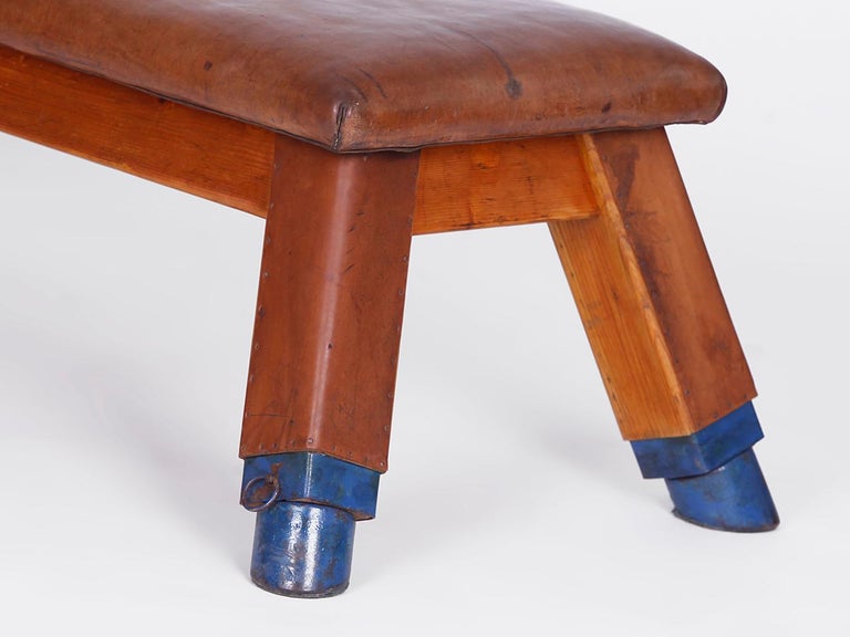 Gymnastic Vintage Leather Pommel Horse Gym Bench Top, 1930s For Sale at ...