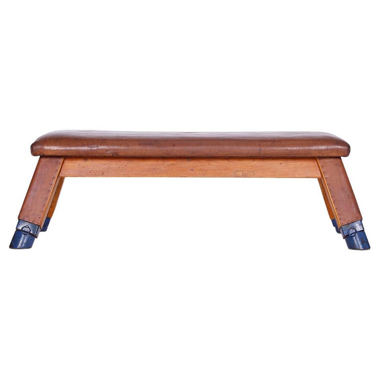 Gymnastic Vintage Leather Pommel Horse Gym Bench Top, 1930s For Sale at ...