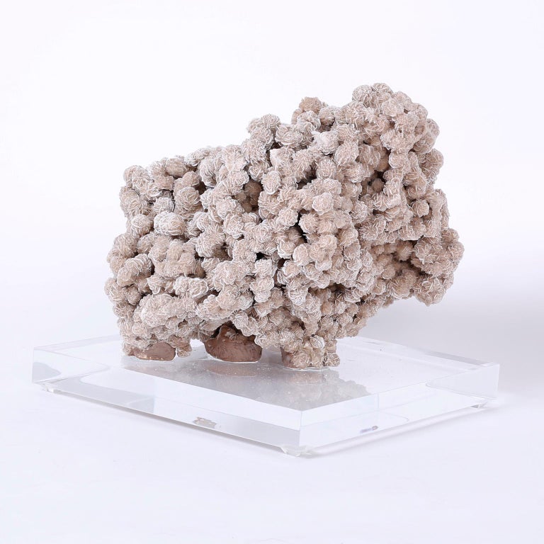 Gypsum "Desert Rose" Geode on Lucite at 1stDibs