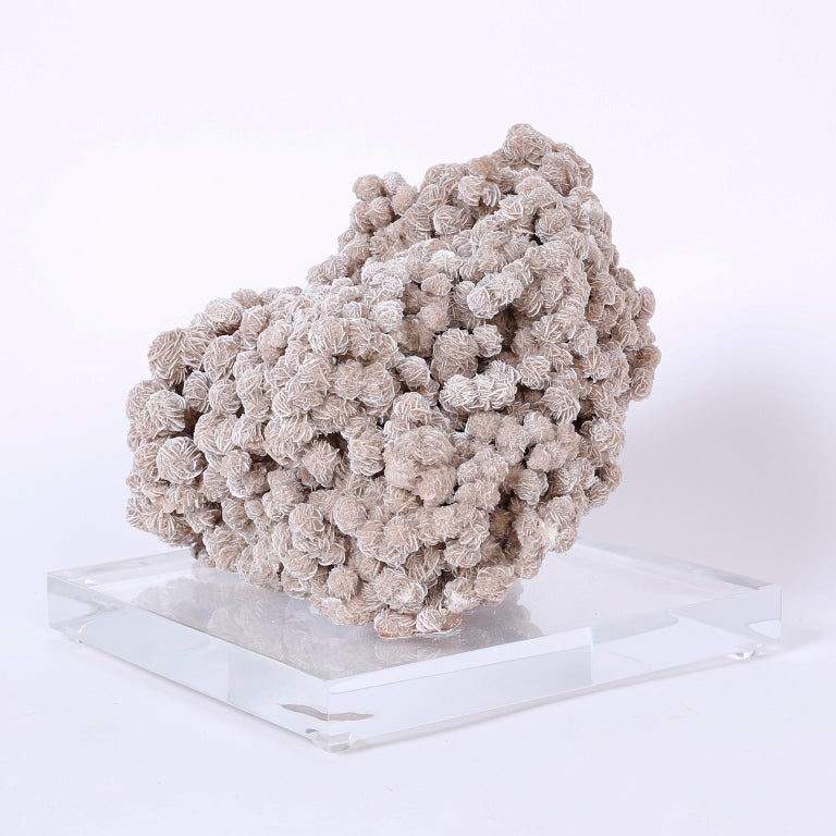 Gypsum "Desert Rose" Geode on Lucite at 1stDibs
