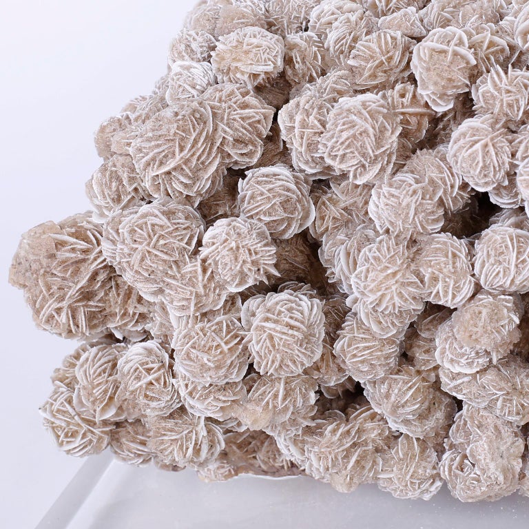 Gypsum "Desert Rose" Geode on Lucite at 1stDibs