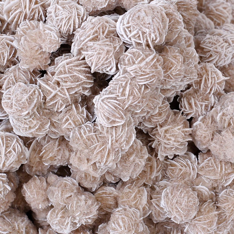 Gypsum "Desert Rose" Geode on Lucite at 1stDibs