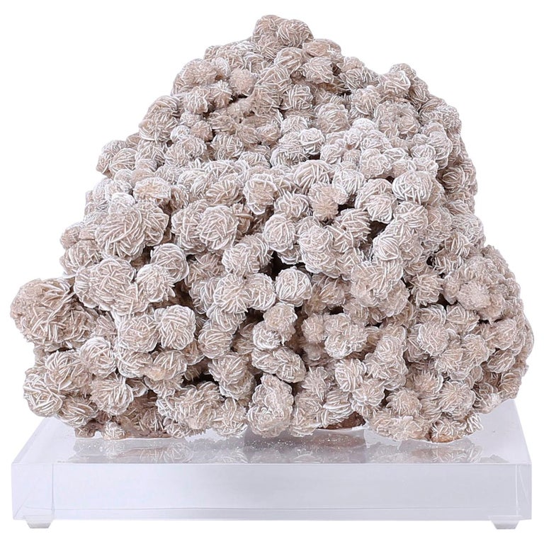 Gypsum "Desert Rose" Geode on Lucite at 1stDibs