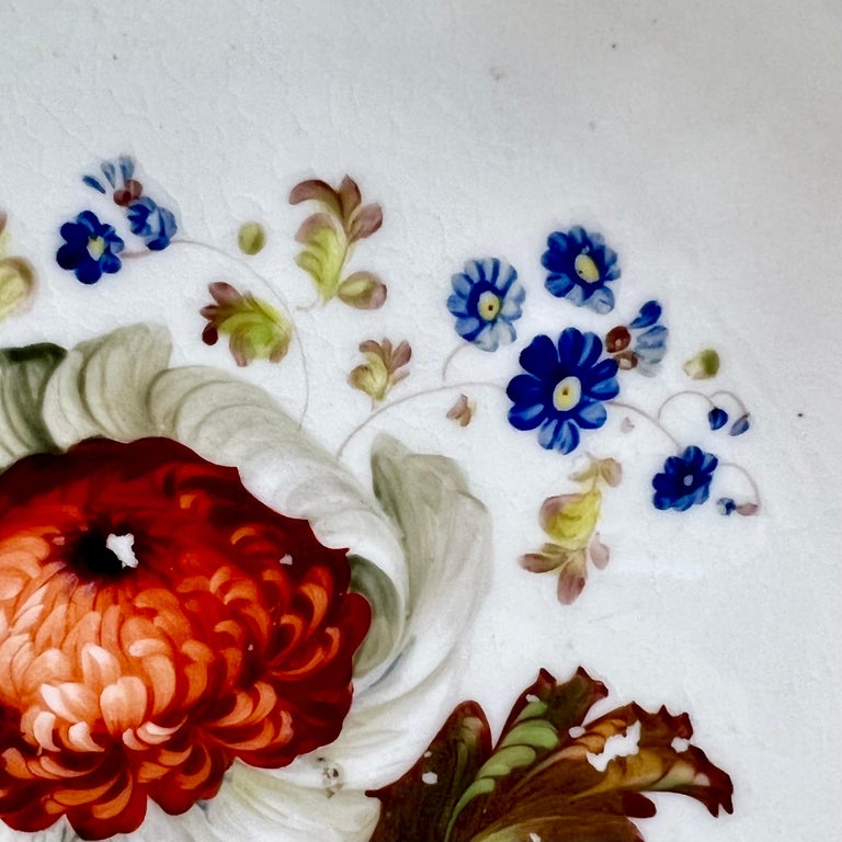 H and R Daniel Shell Dish, Shrewsbury Shape, Red Ranunculus, Regency Ca ...