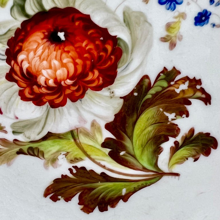 H and R Daniel Shell Dish, Shrewsbury Shape, Red Ranunculus, Regency Ca ...