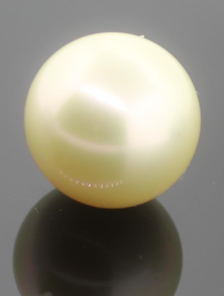 Hakimoto by Jewel Of Ocean 17.7 mm Special Round South Sea Pearl For ...