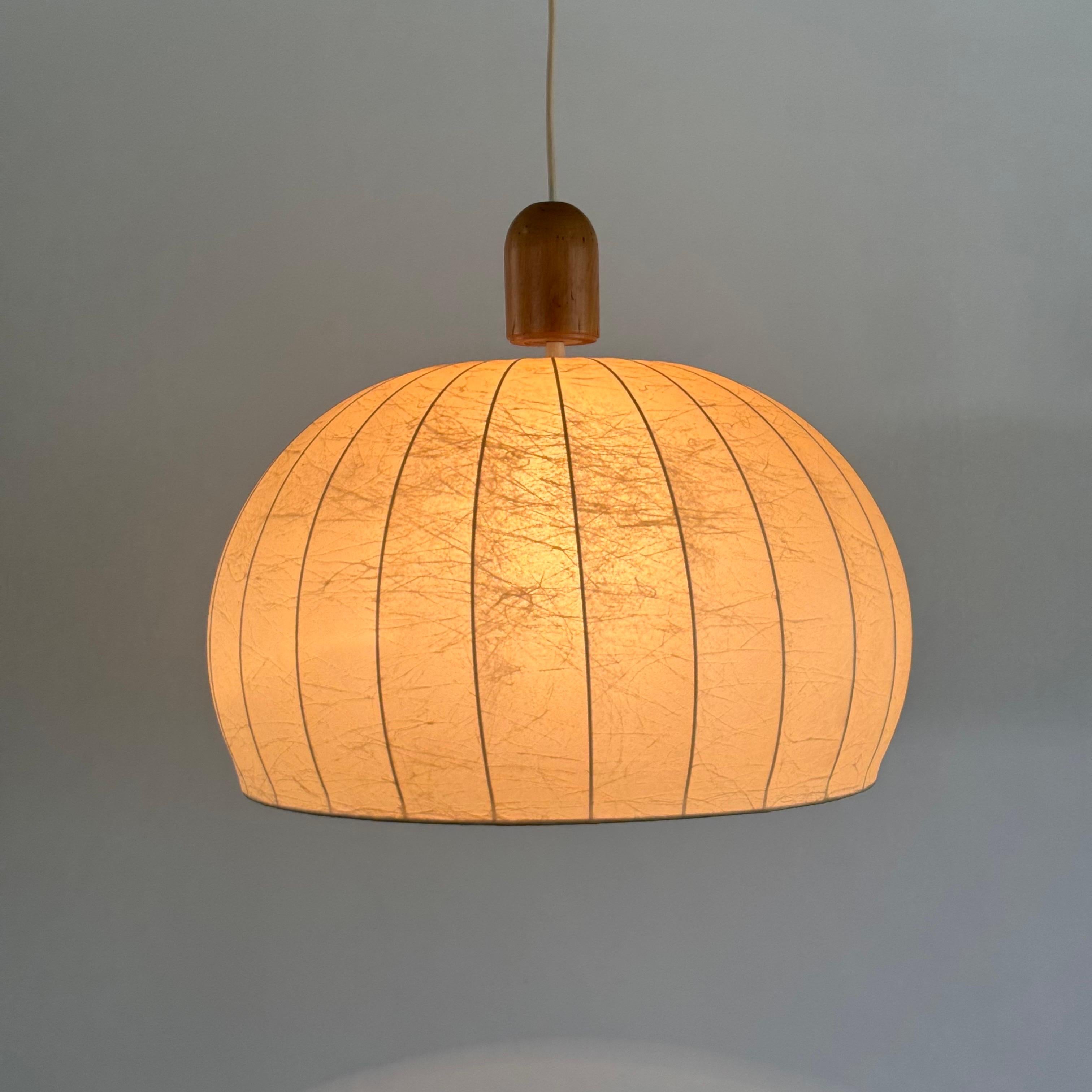 Half-Sphere Cocoon Ceiling Lamp with Beech Wood Accent, Friedel Wauer ...