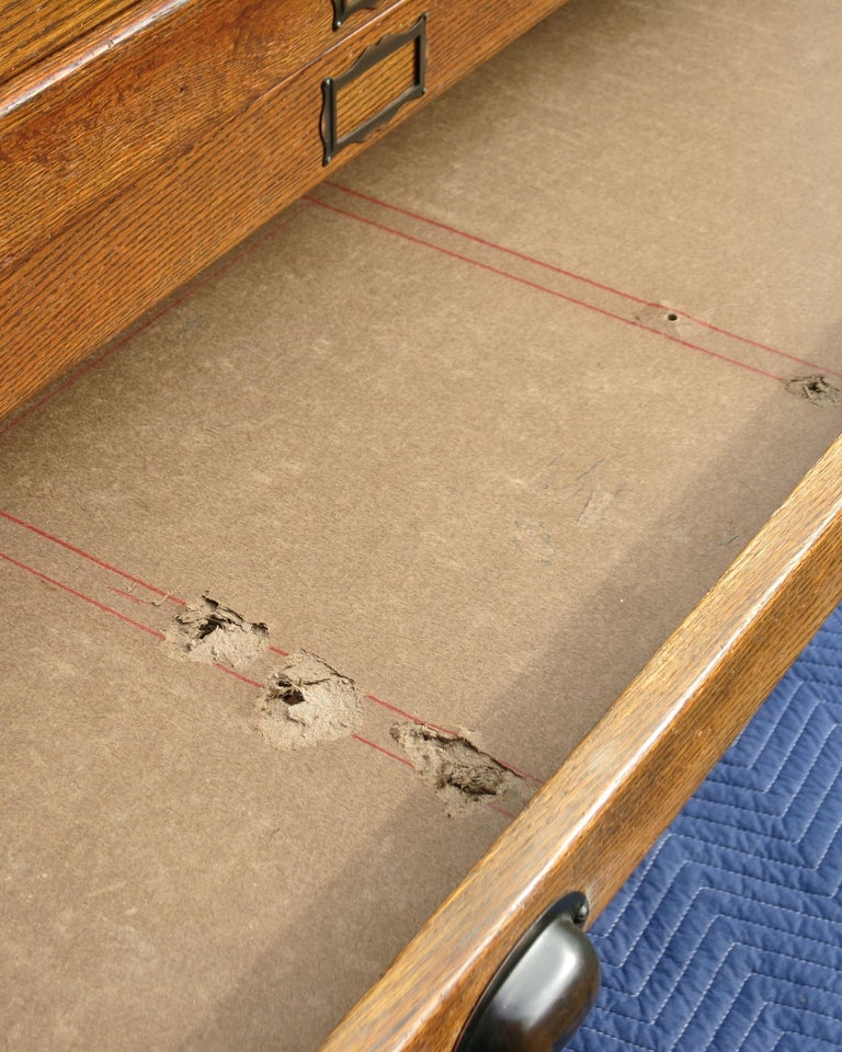 Hamilton Map Cabinet Flat File Industrial Cabinet Architects Cabinet ...