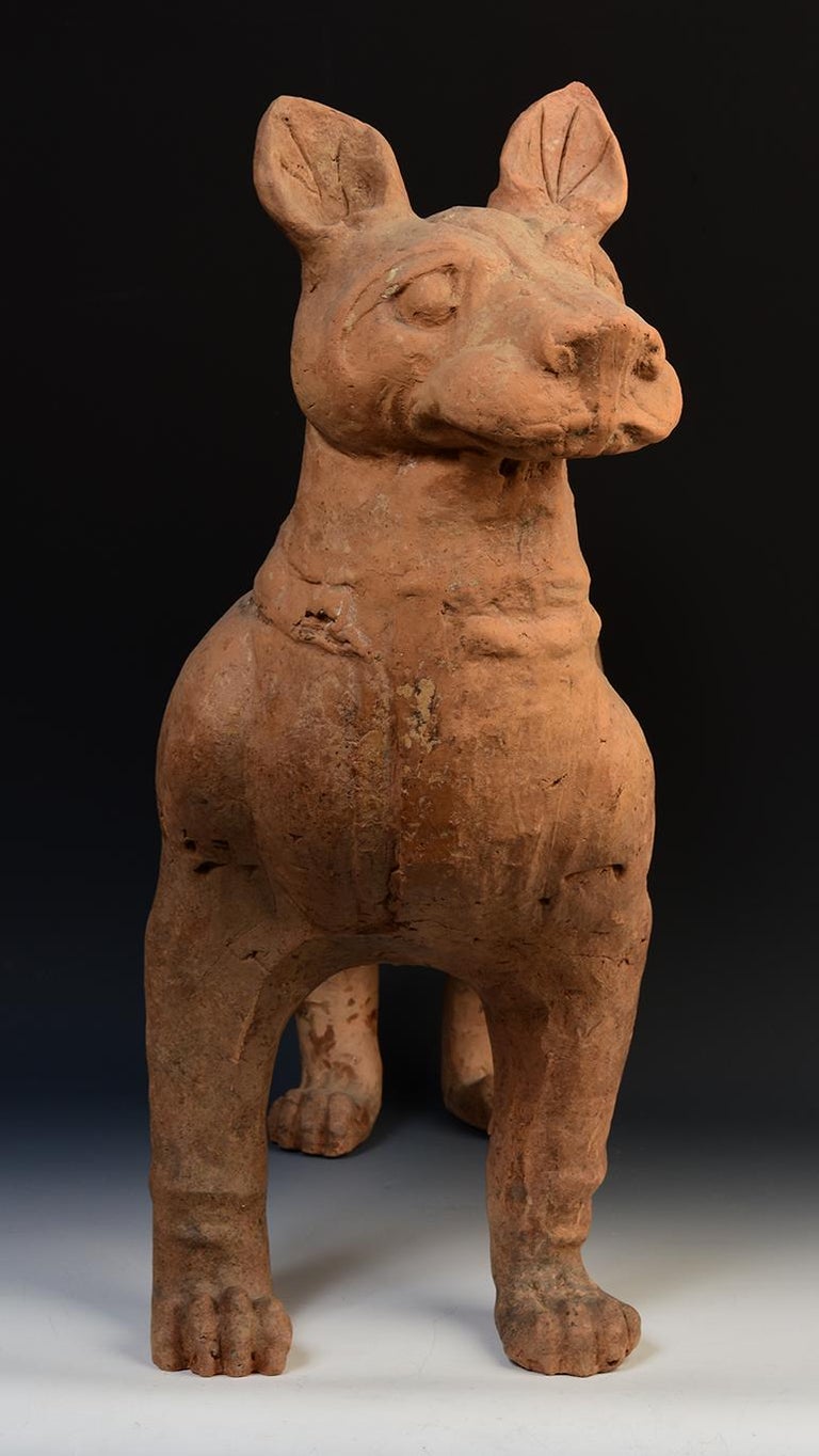 Han Dynasty, Antique Chinese Pottery Standing Dog with Oxford Test For ...