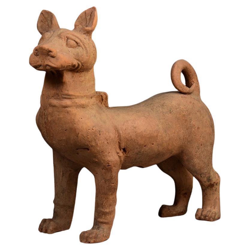 Han Dynasty, Antique Chinese Pottery Standing Dog with Oxford Test For ...