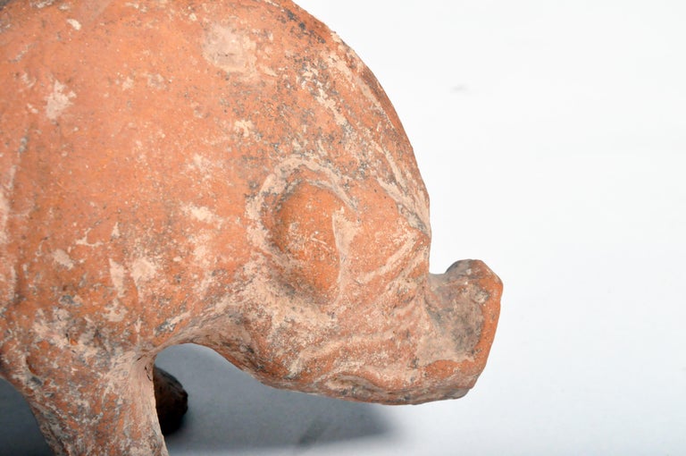 Han Dynasty Figure of a Pig at 1stDibs | han pig