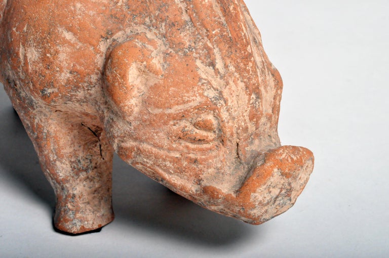 Han Dynasty Figure of a Pig at 1stDibs | han pig