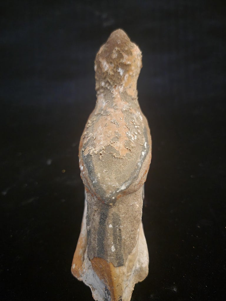 Han Period Parrot with Polychrome For Sale at 1stDibs