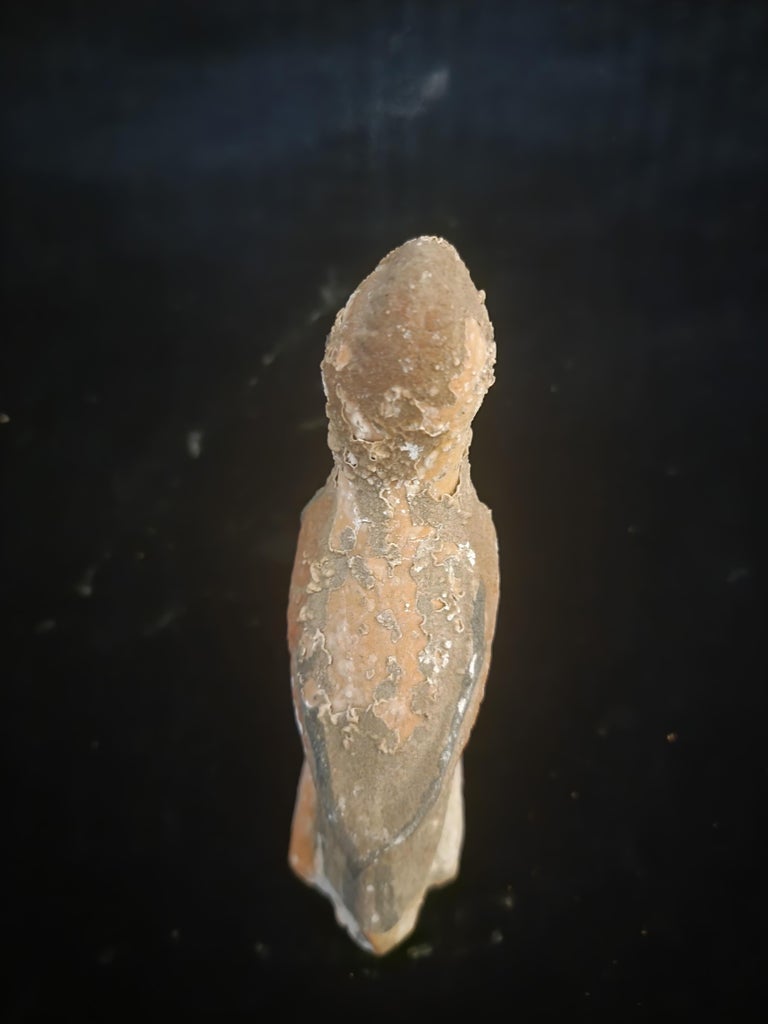 Han Period Parrot with Polychrome For Sale at 1stDibs