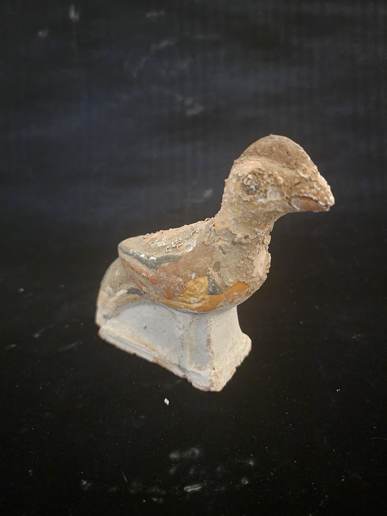 Han Period Parrot with Polychrome For Sale at 1stDibs