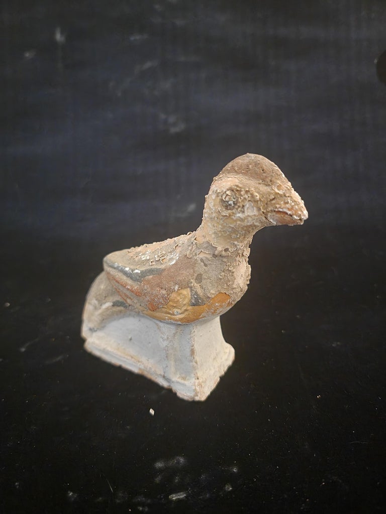 Han Period Parrot with Polychrome For Sale at 1stDibs